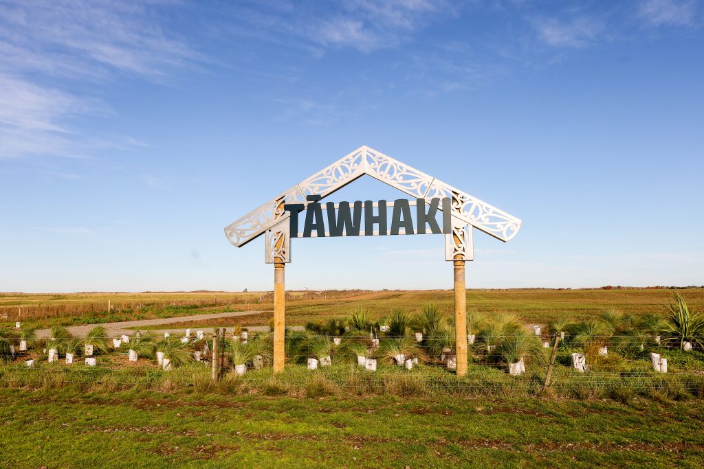 Work with us — Kaitorete Whenua Ranger - Tawhaki